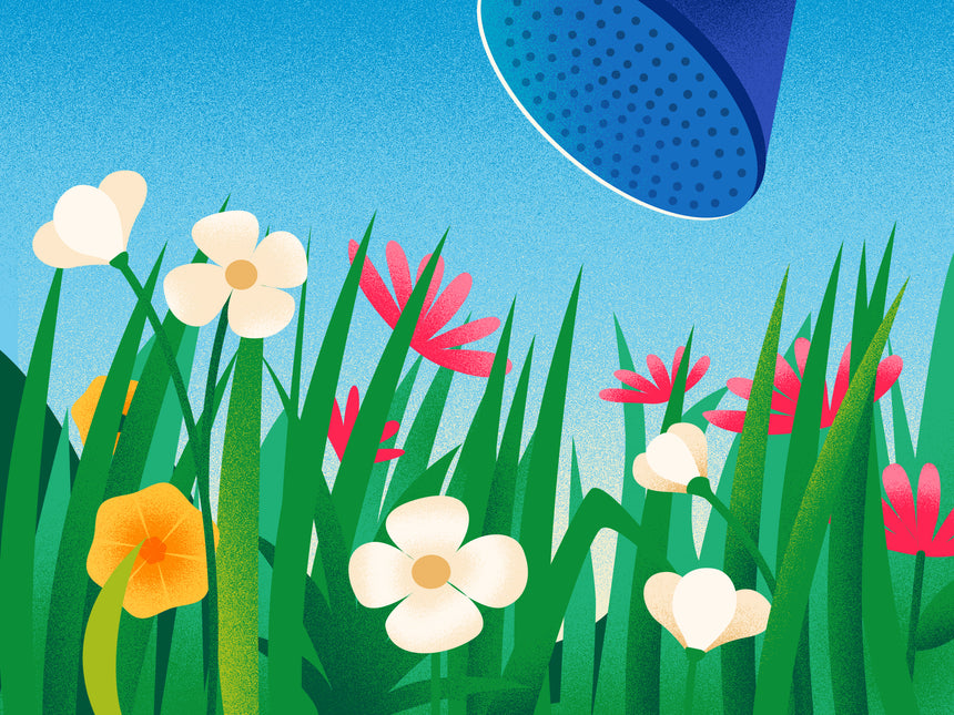 The Happiness Project